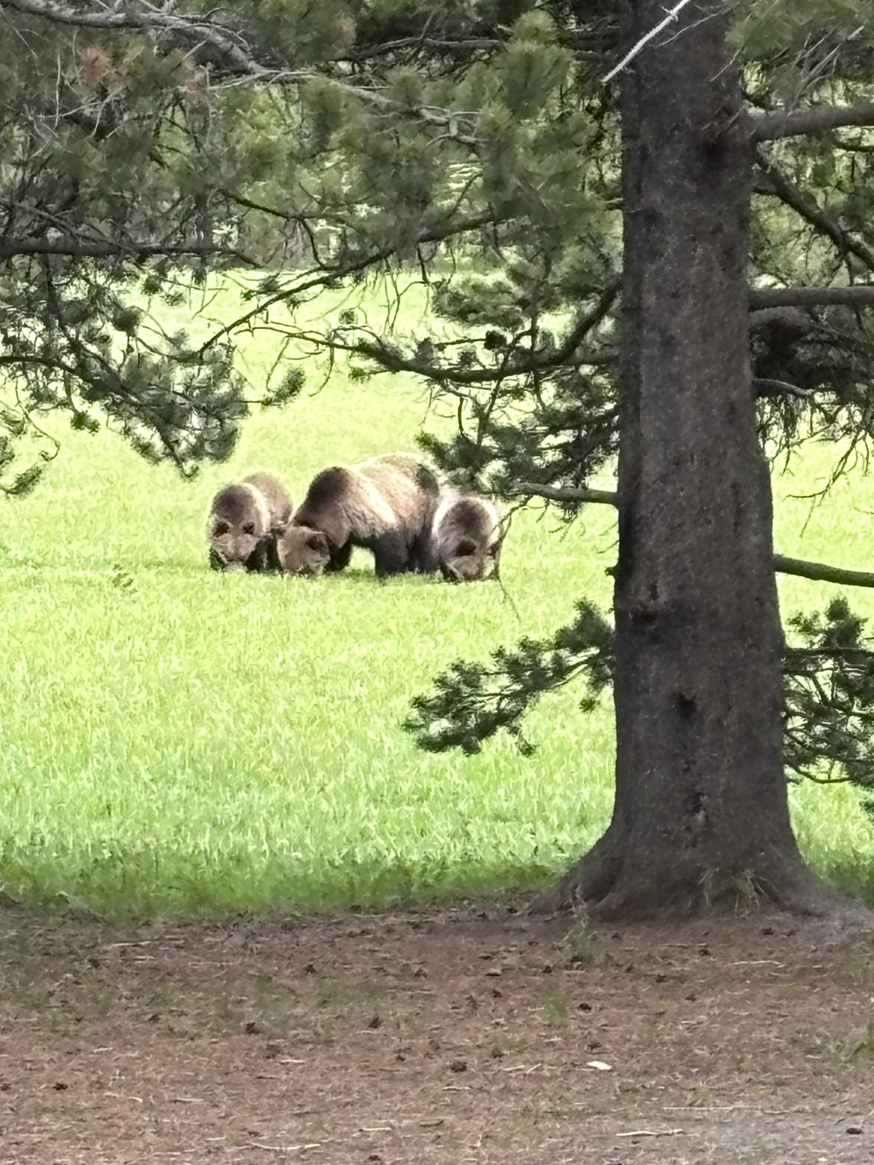 sample itineraries - Big Sky Explorer